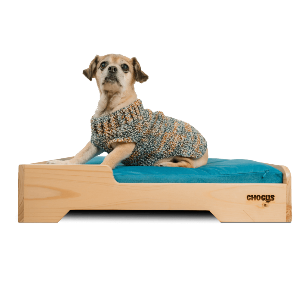 Cama para perro pequeño talla S en Chogus.pe 🎉