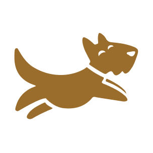 ¡Bienvenido Humano! Este es el mundo Chogus 🐶🐱